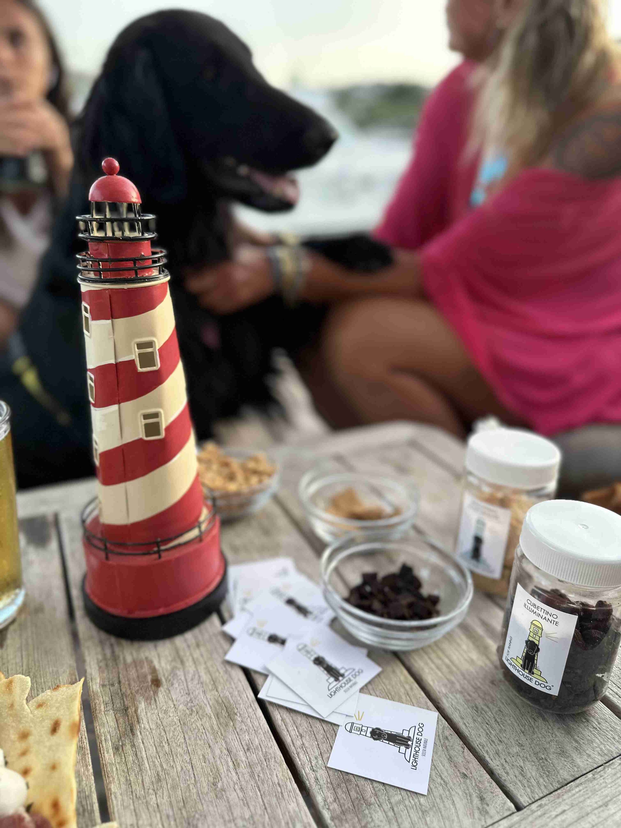 Homepage - LIGHTHOUSE DOG